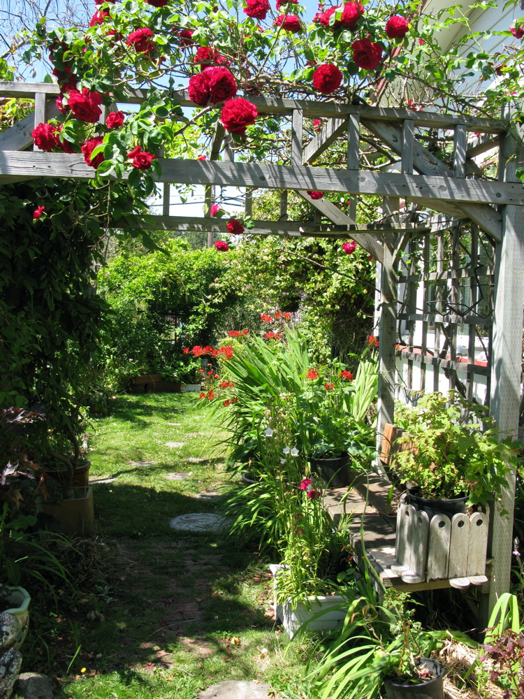 Open Gardens - Victoria Horticultural Society