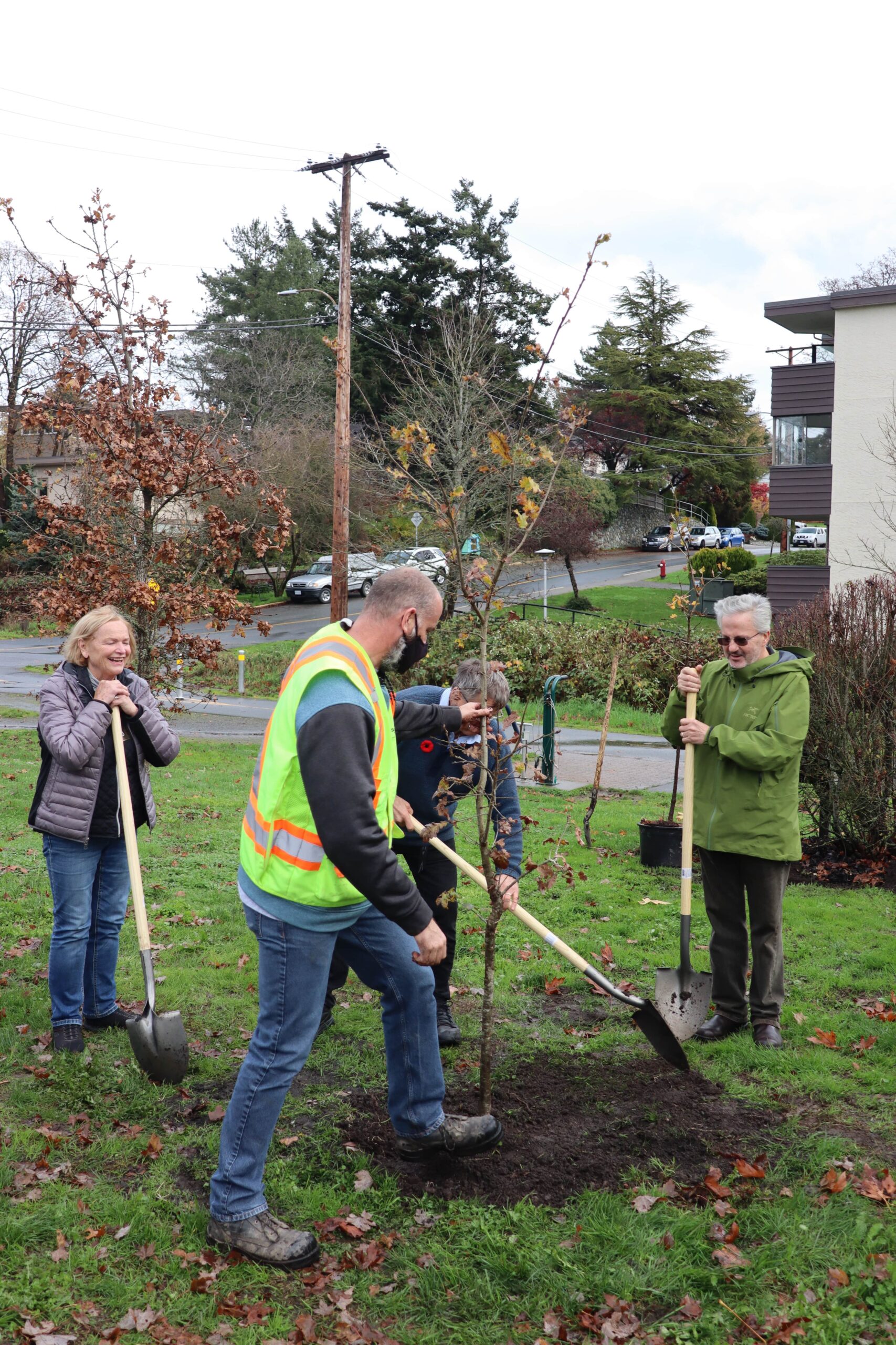 Centenary: Saanich Tree Planting - Victoria Horticultural Society
