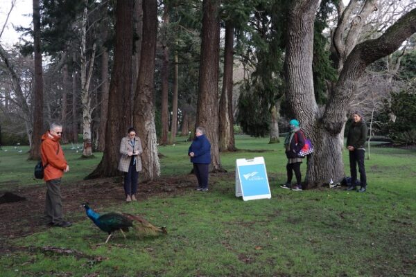 Centenary: Victoria Tree Planting - Victoria Horticultural Society